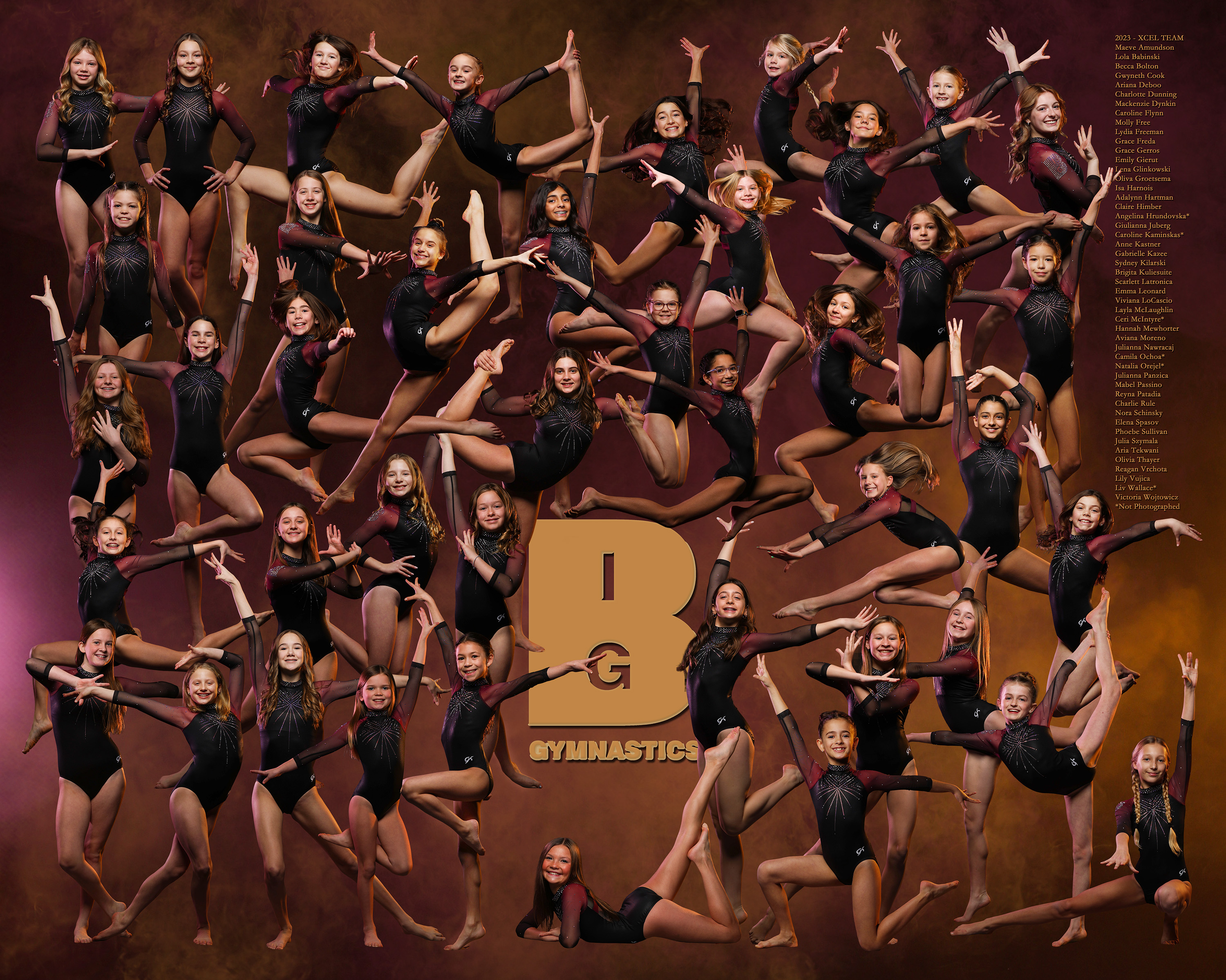 USAG XCEL Team | BIG Gymnastics